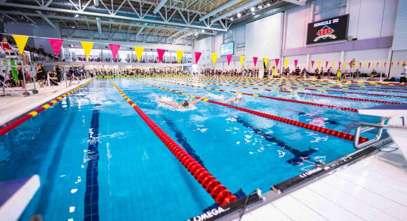 Natation | Rouge et Or de l'Université Laval