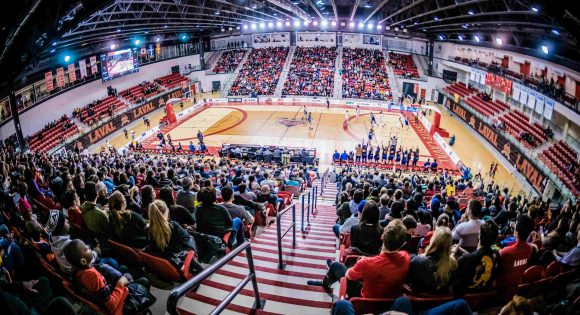 Basketball féminin | Rouge et Or de l'Université Laval